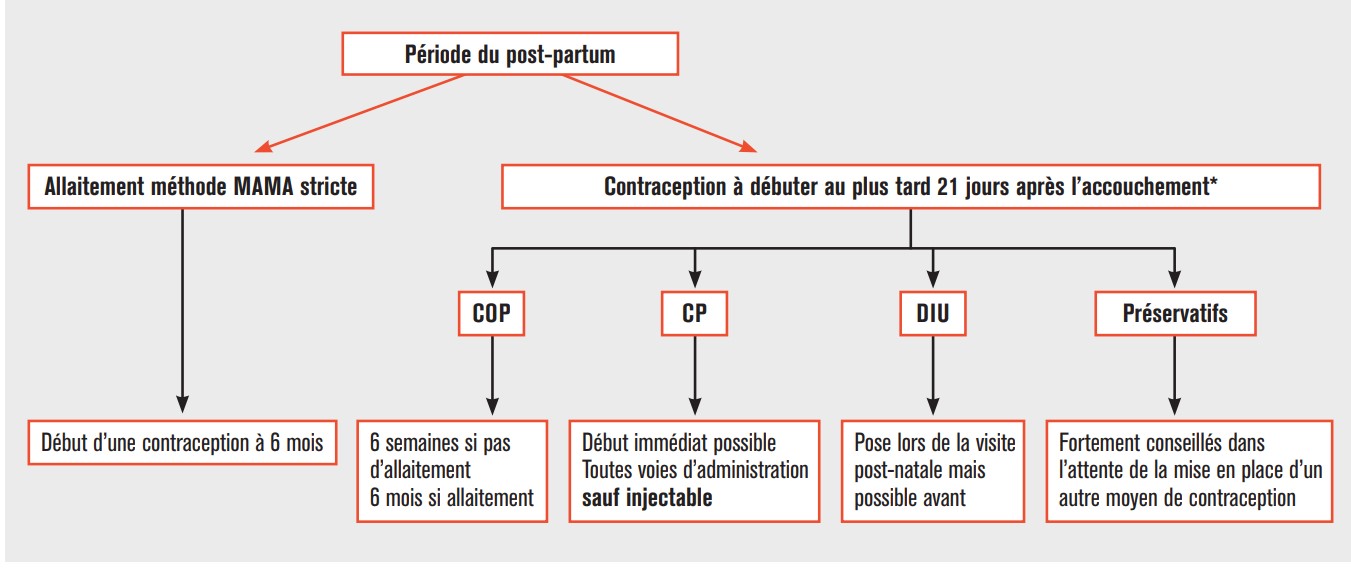 Prescription d’une contraception en post-partum : proposition ...