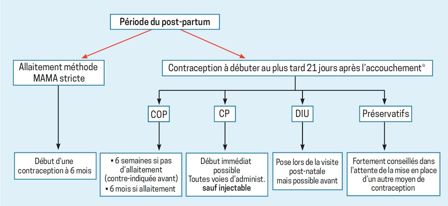 Algorithme prescription d’une contraception en post-partum | La Revue ...