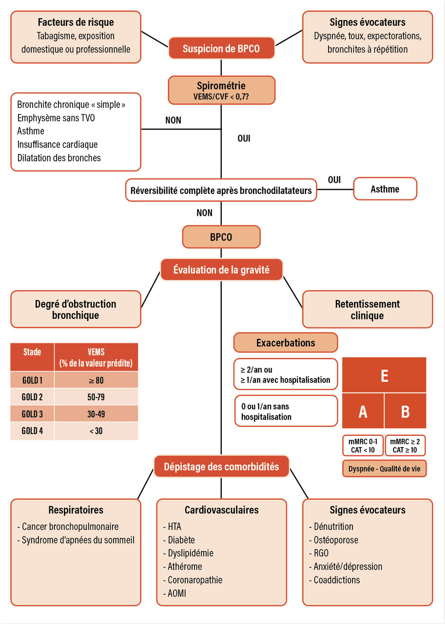 Algorithme diagnostique et d’évaluation devant une suspicion de bronchopneumopathie chronique ...