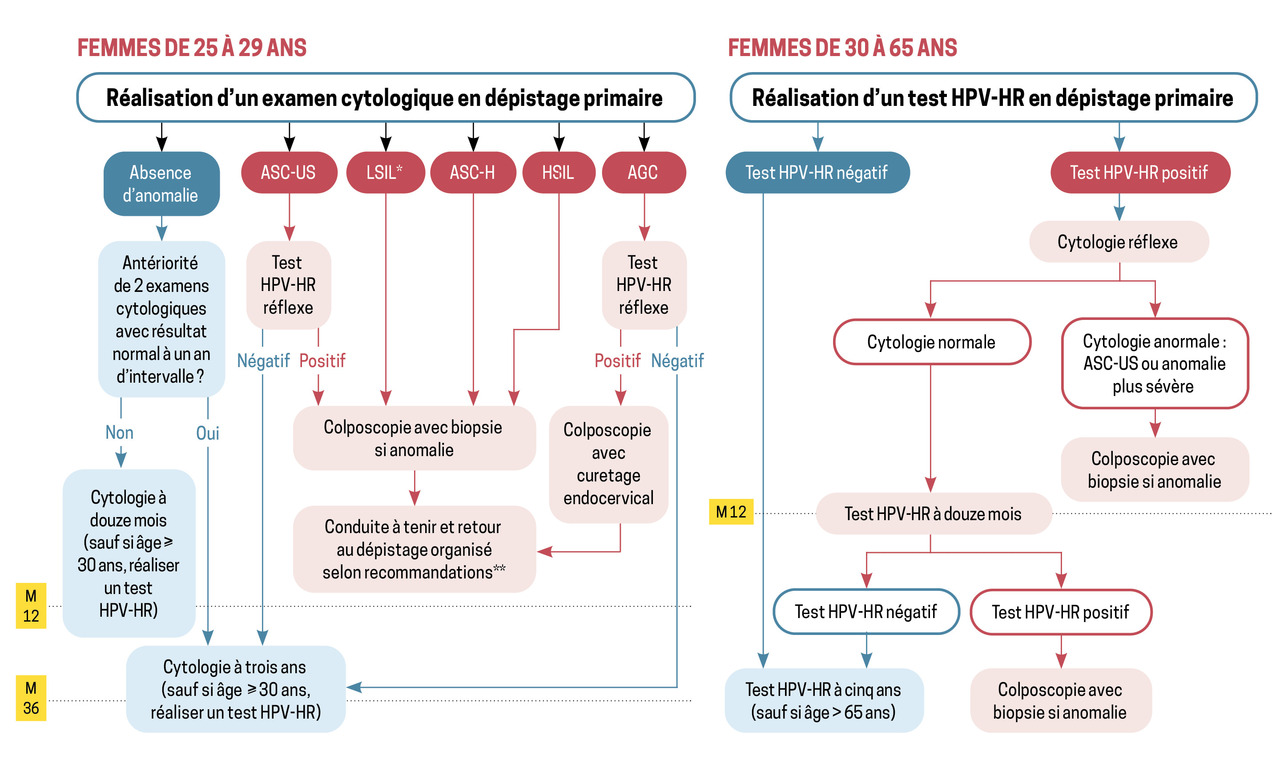Modalités du dépistage du cancer du col de l’utérus en France | La Revue du Praticien
